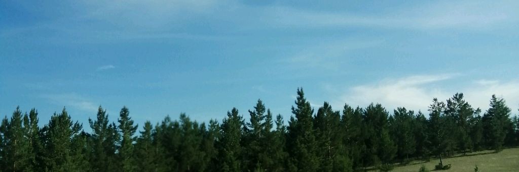 Эбонитовая Палочка {: