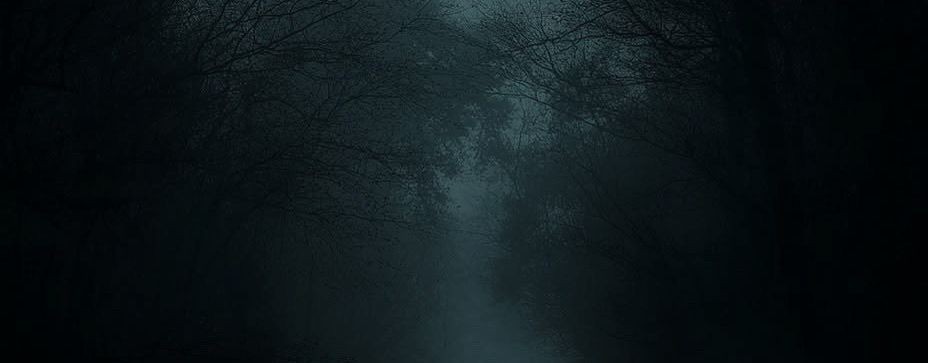 Бумажные птицы