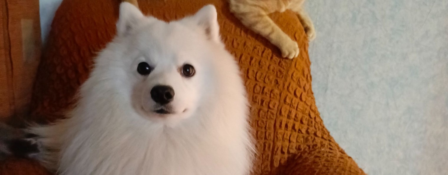 Светлана с мир