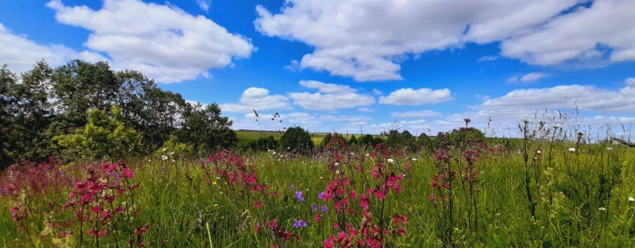 Наталья Васильева