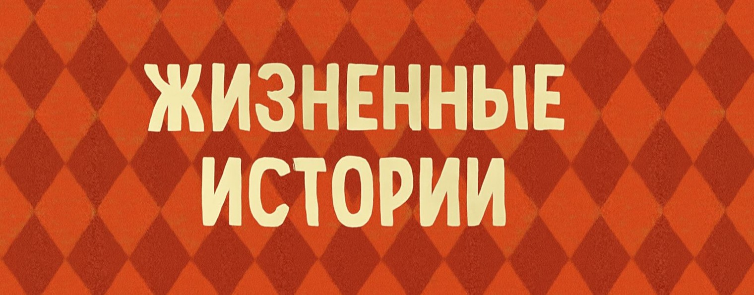 Истории из жизни