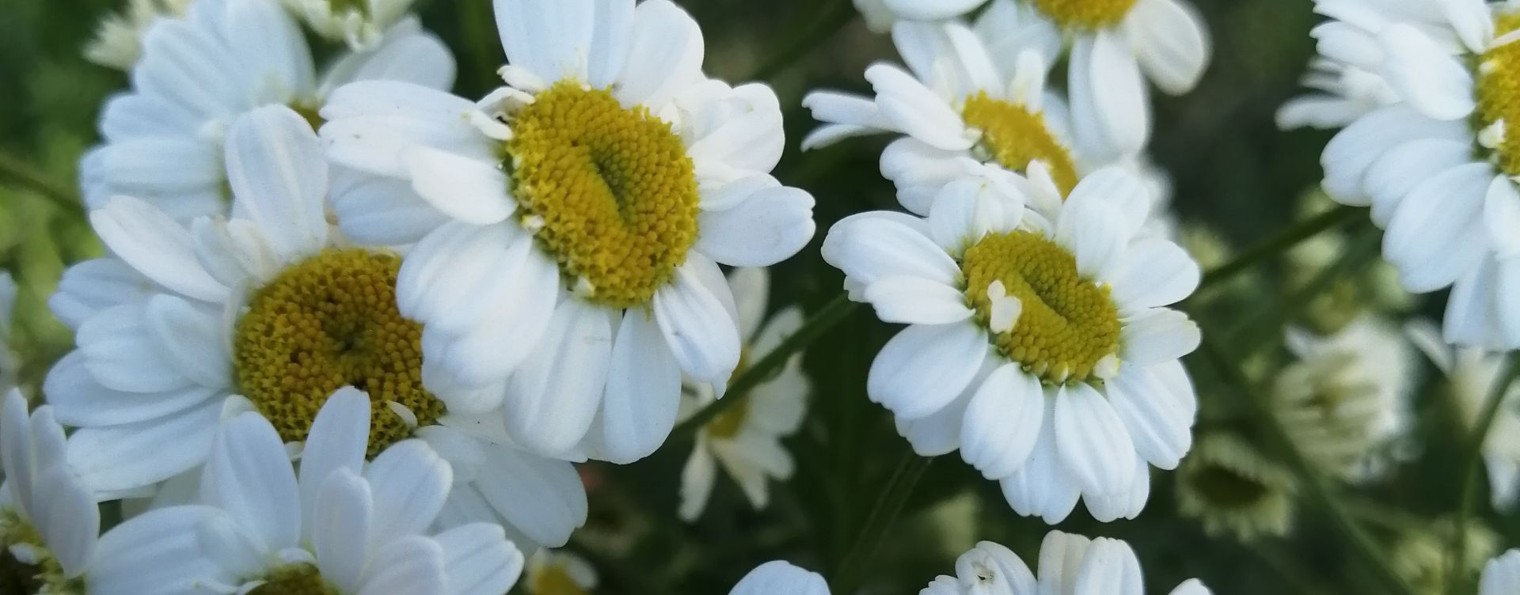 Марина Харыбина