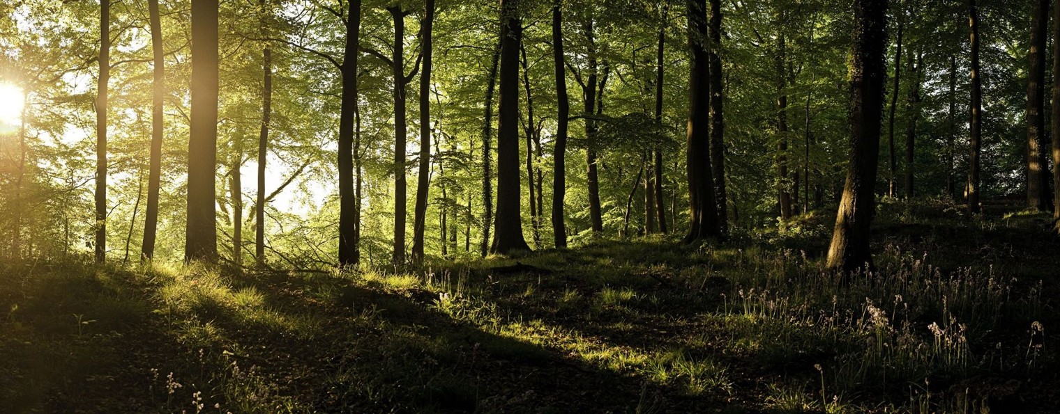 - ТАЁЖНЫЙ ТУРИСТ-