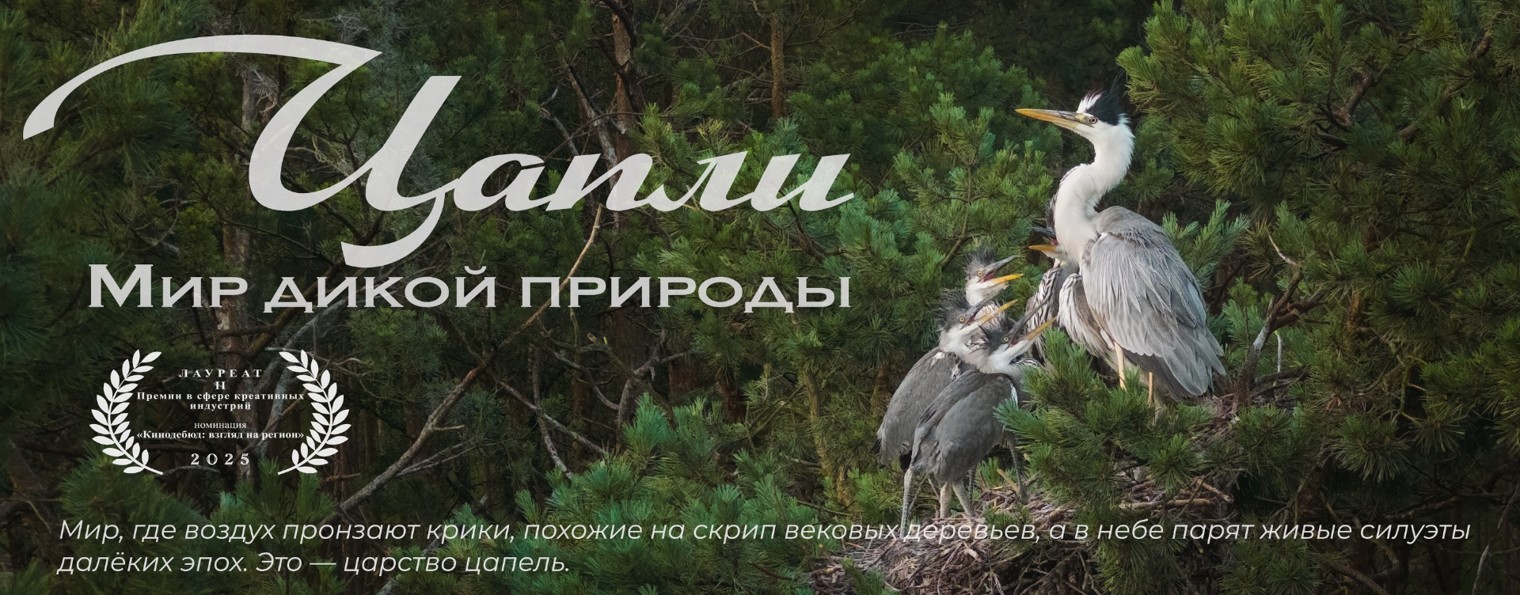 Путешествия по Рязанской области