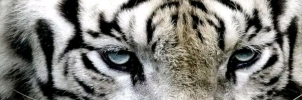 ❤️Фан Марьяна Локель🩷