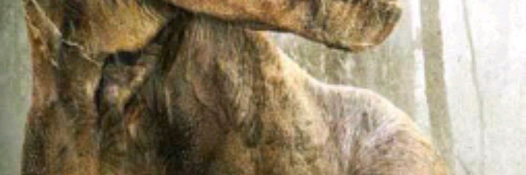 Хагги Вагги