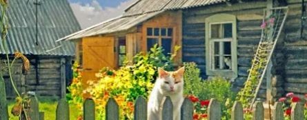 Деревенская семья