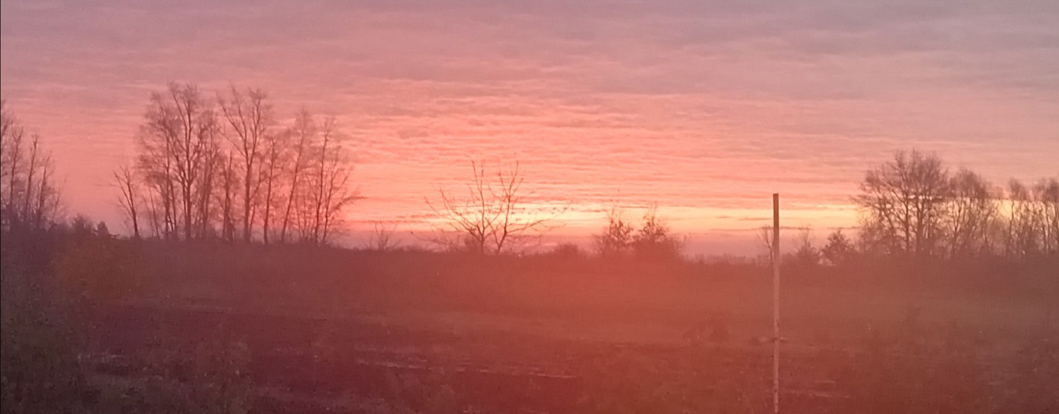 Влог Савостиной Ирины