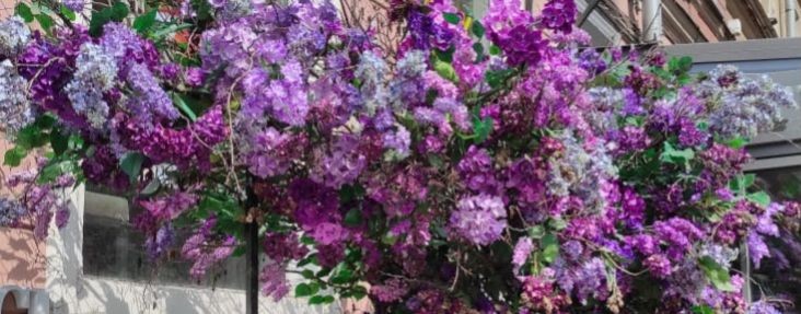 Многодетная семья Скляренко