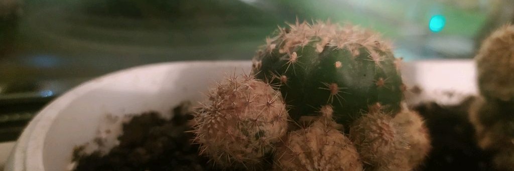 🎸🎃Гитара ; Мир денди🎃🎸