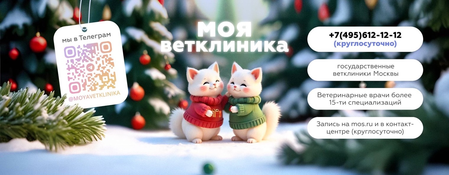 Моя Ветклиника