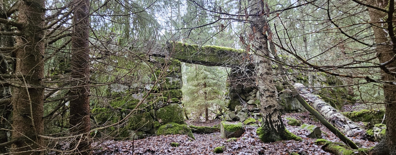 Макалов и Старина