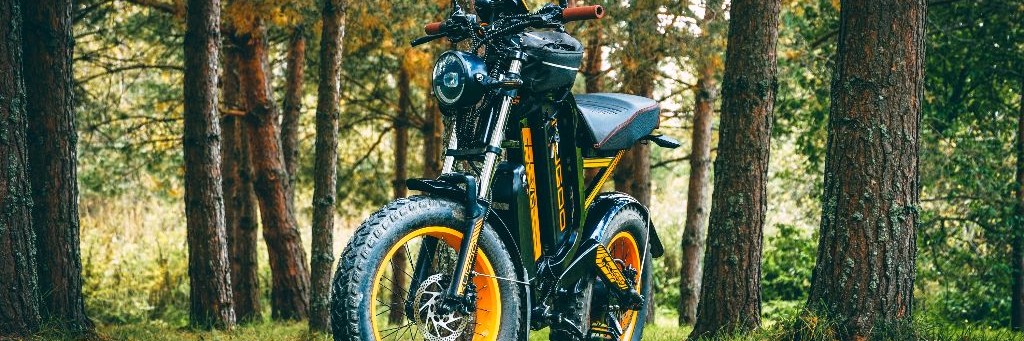 Саня на фэтбайке