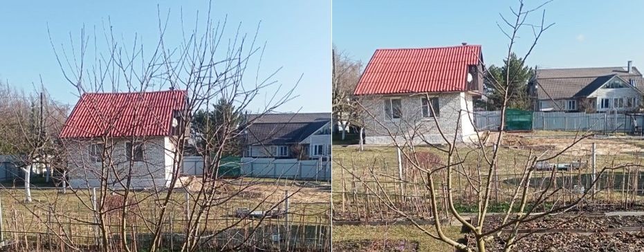 Обрезка деревьев Ниваки Топиарная стрижка