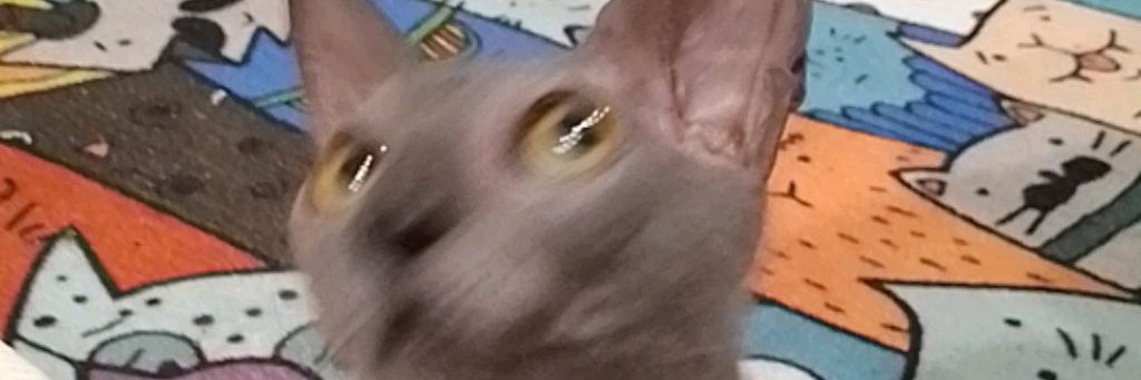 Ксюша) (Егорова ) (Котим Мотим