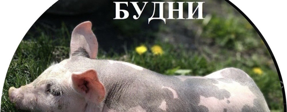 Будни Фазенды