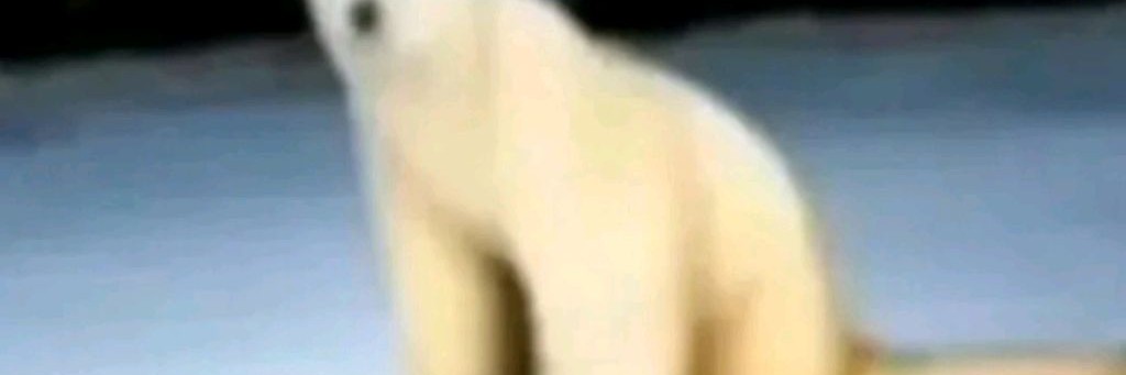 🐧🇷🇺🗿Гусев Гусь Гусевич🗿🇷🇺🐧