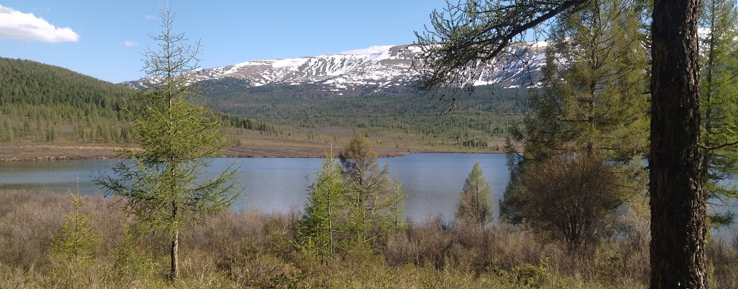 Трепанатор