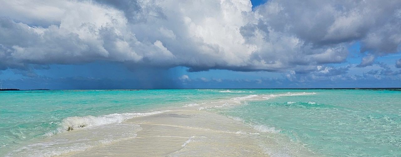 NikDance - Береснев Никита