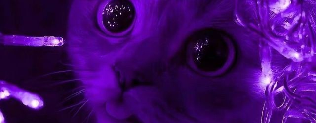 не умею играть