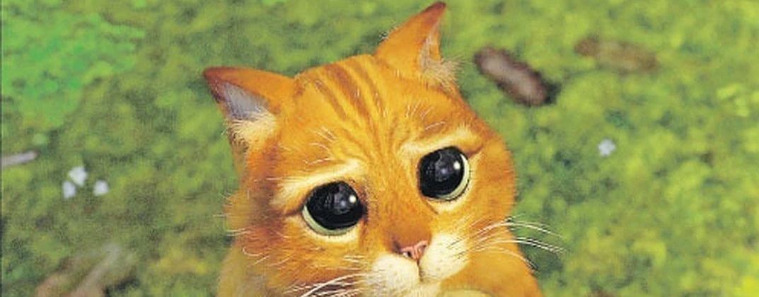 Наглая Морда