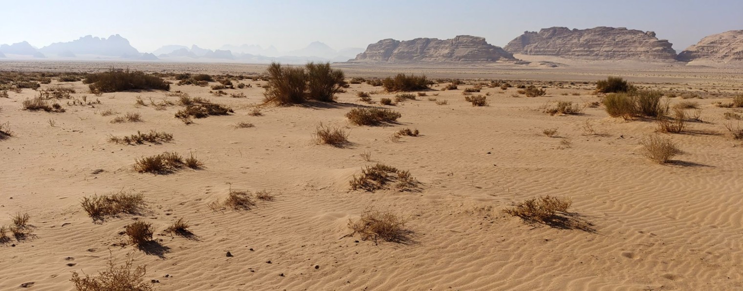 Маршрут построен