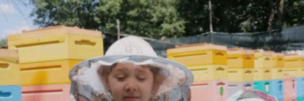 Пасека Асатрян