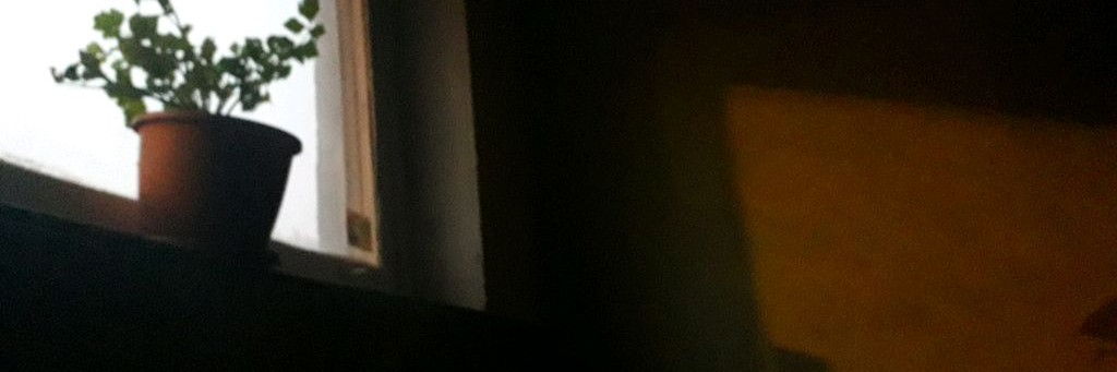 🇷🇺Wiwwolla 🇩🇪