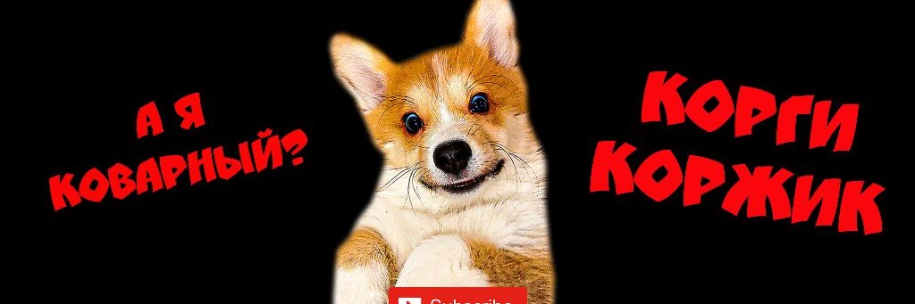 🦊Корги КОРЖИК🔥