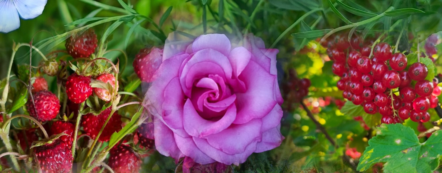 Будни в деревне 🤗