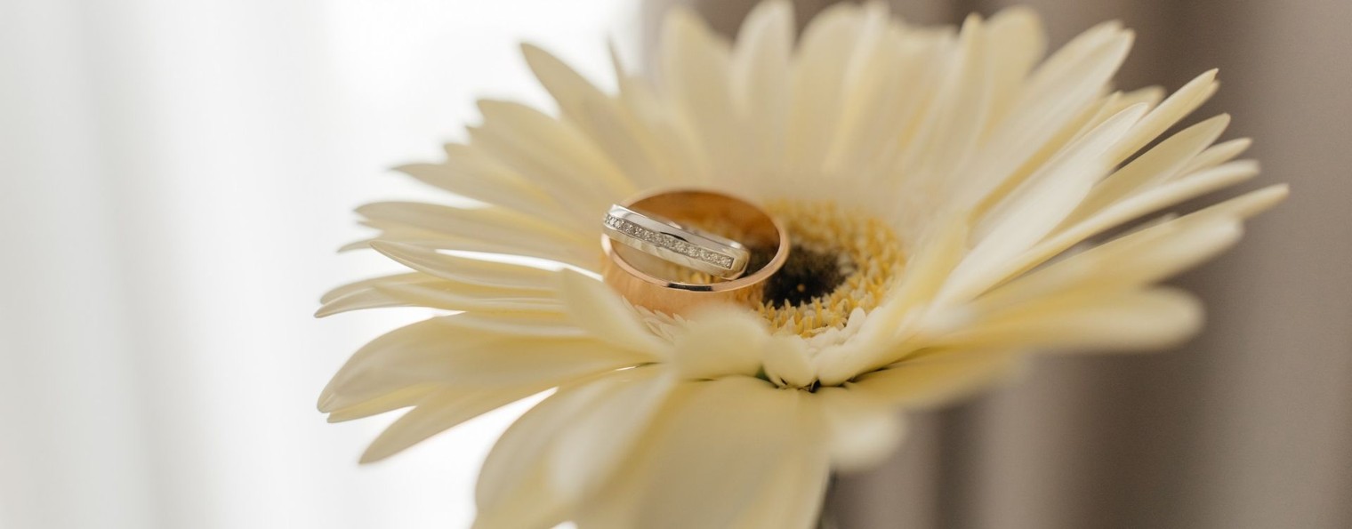 Свадебный организатор. Алена Наумова.