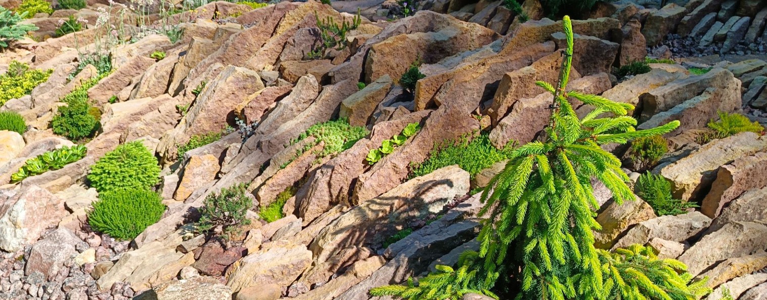 Гармония каменистого садика