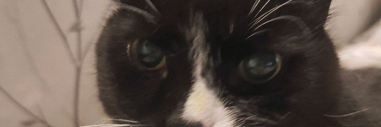 Моя Жизнь И всё Токое