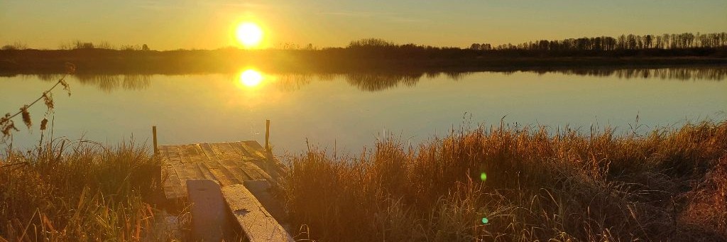 Будни Горе-Копателя