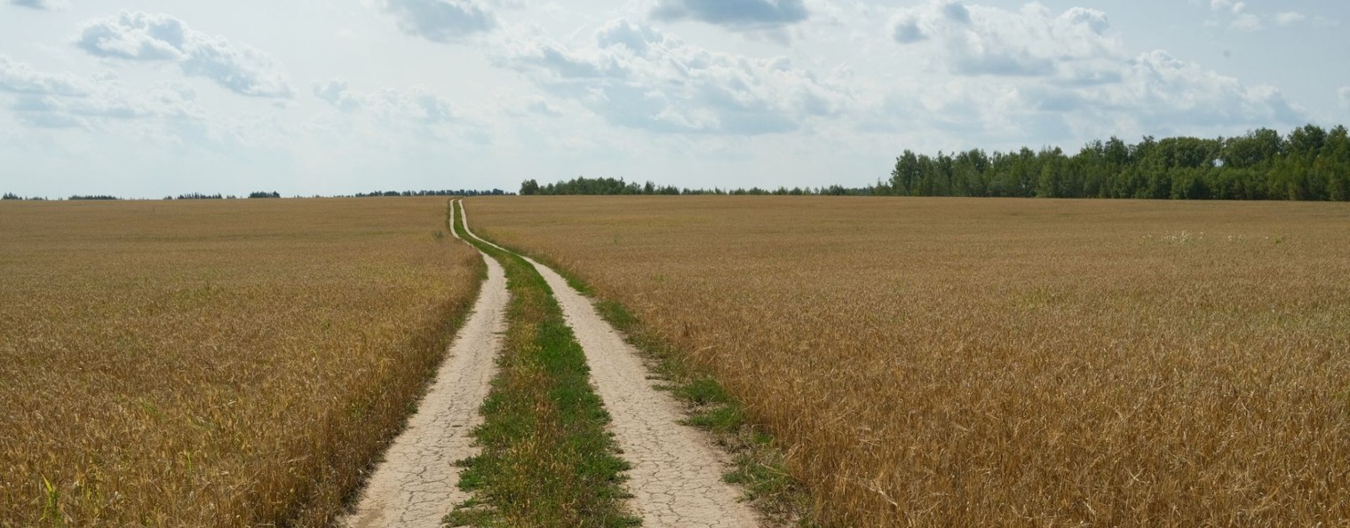 Владислав Крицын