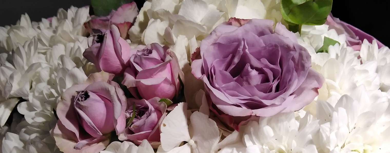 Если Бог  со мной,кто станет против?