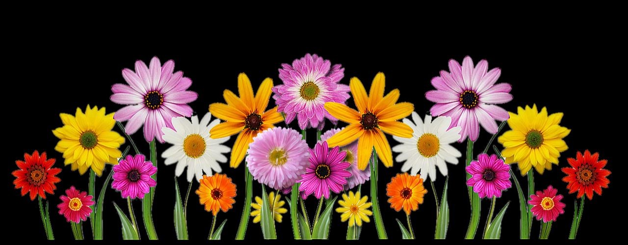 Татьяна Кириченко