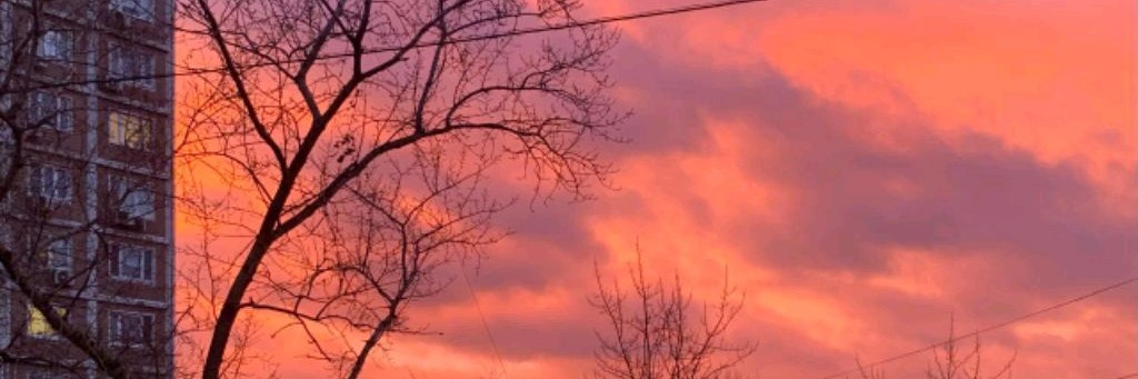 Ленусик красотусик ❤