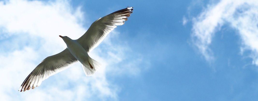 Злата Лазарева. Песни для души