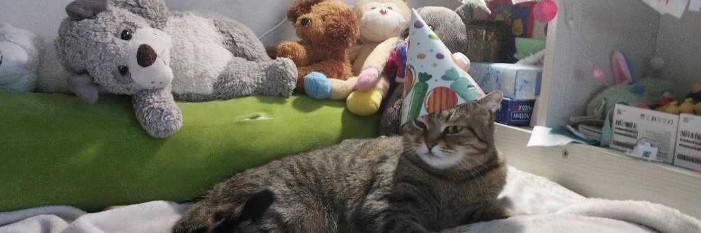 Алиса Лайкусик