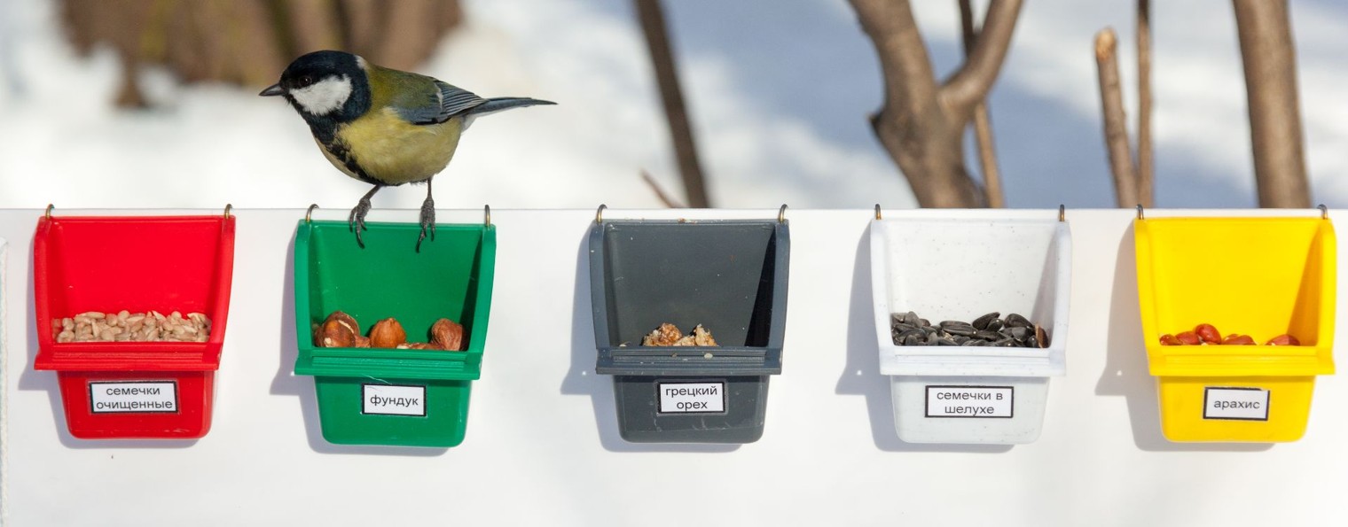 Василий Вишневский