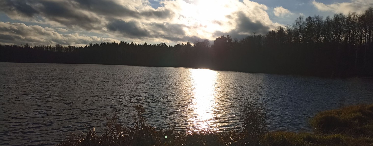 Светлана Семенова