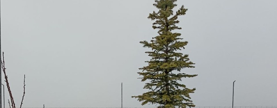 Сотворяя красоту Татьяна Муратшина