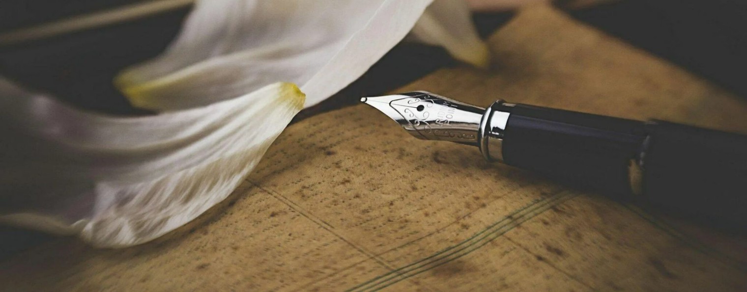 Кристина Новикова