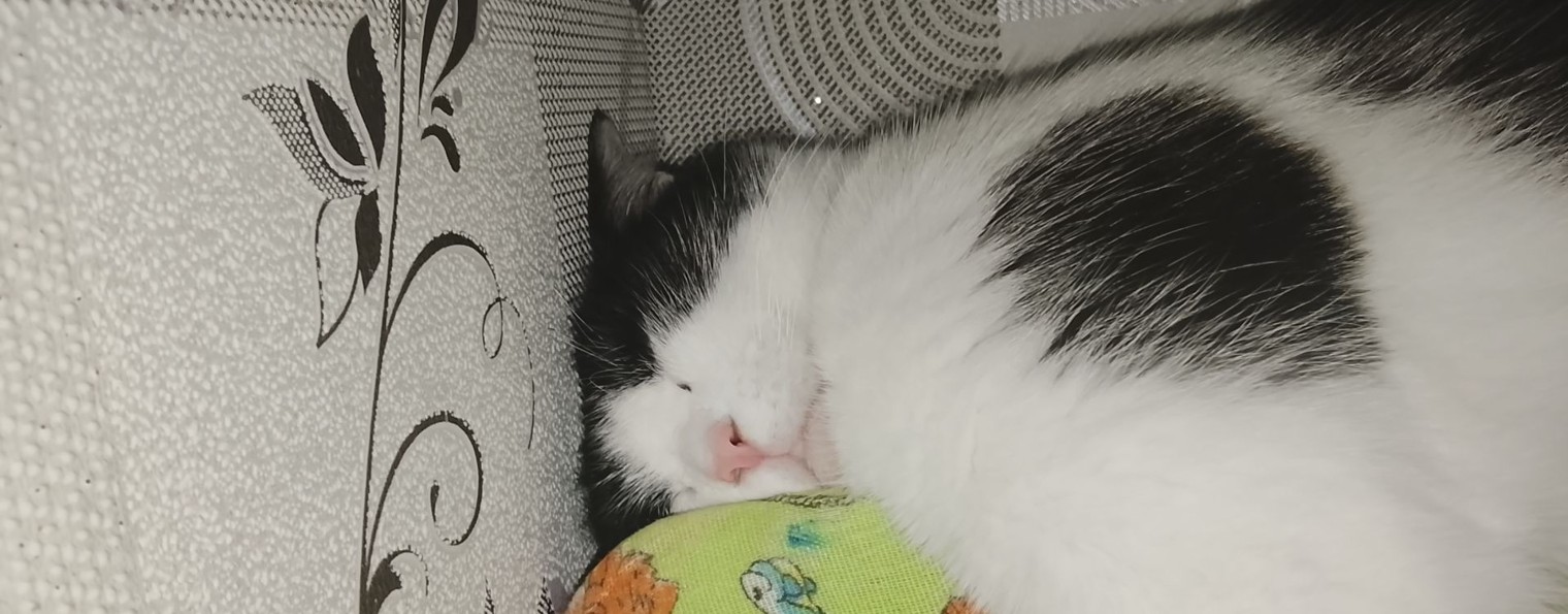 ﹤Ульянка﹥