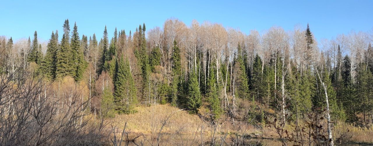 МУЖСКОЕ ХОББИ