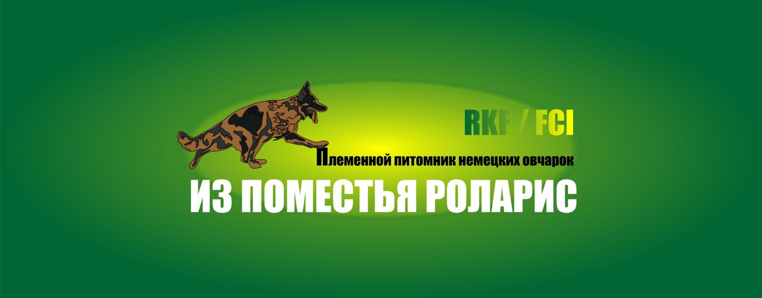 Питомник немецких овчарок ИЗ ПОМЕСТЬЯ РОЛАРИС