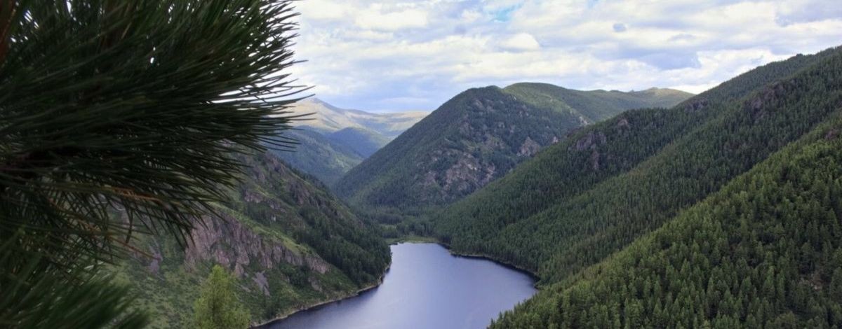 Таёжный Край М