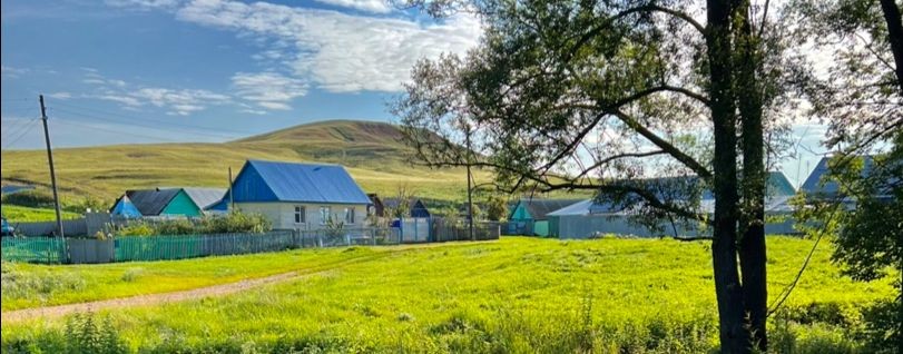 Деревенские и городские будни
