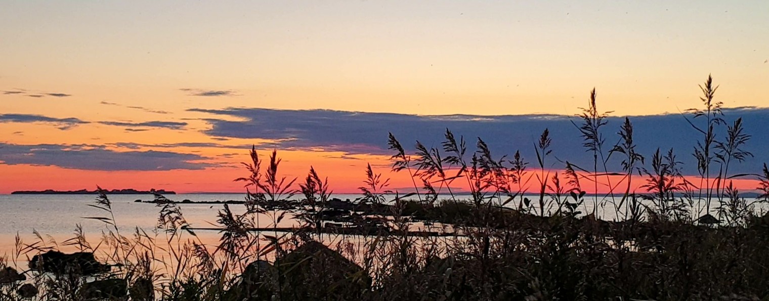 Старый Бродяга